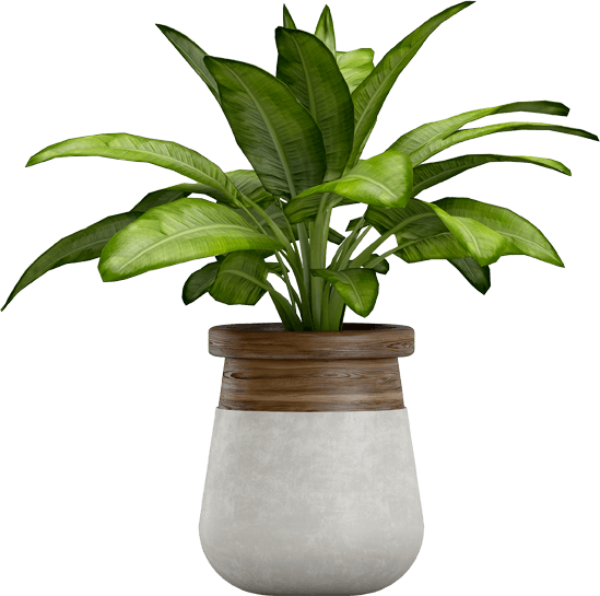 Flacio – A haven of floral wonders